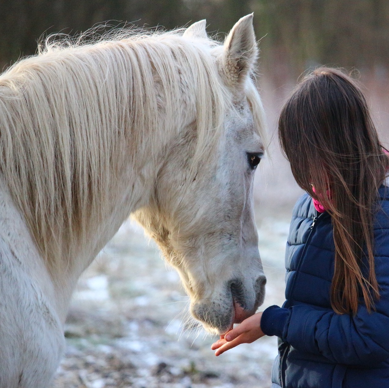 Constructional Teaching – Behavior Explorer